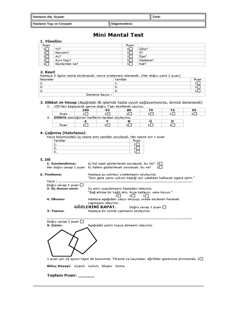 Mini Mental Test | PDF