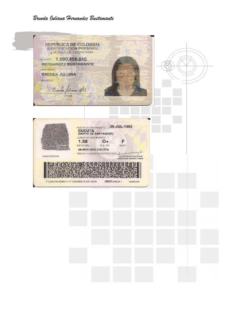Documento de Identidad | PDF