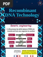 Enviropig: Genetic Modification Process | PDF | Genetically Modified ...