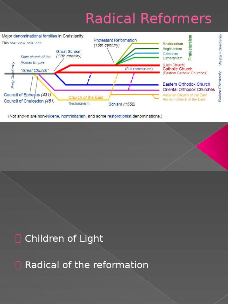 November 18 - Radical Reformers-1 | PDF | Anabaptism | Theology