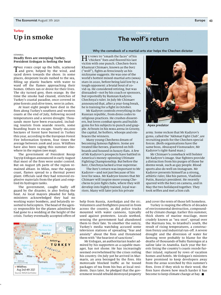 Turkey Up in Smoke | PDF