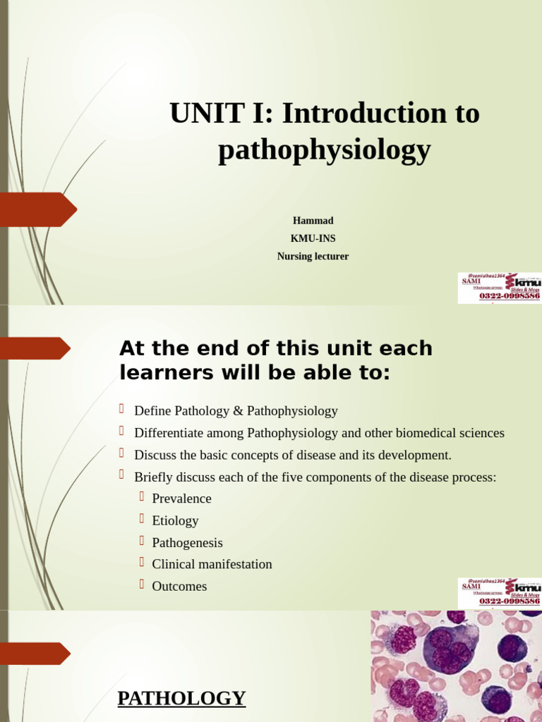 Understanding Pathophysiology Basics | PDF | Oncogene | Inflammation