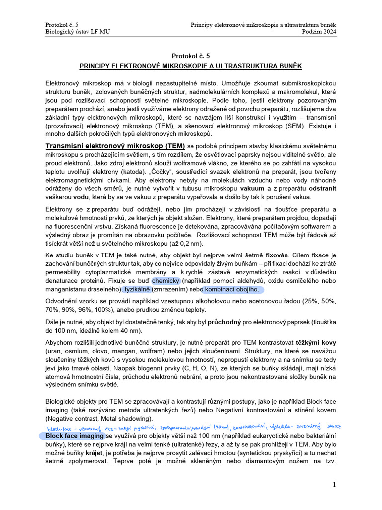 Protokol Bio 5 | PDF