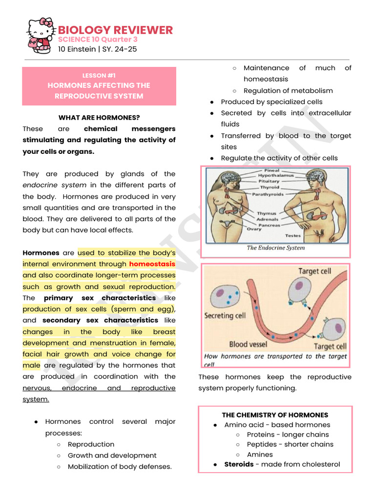 BIOLOGY REVIEWER G10 Q3 24-25 | PDF | Dna | Rna