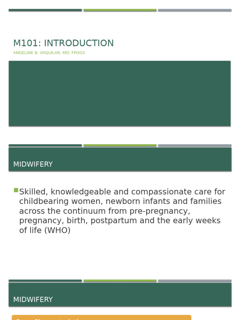 Lec 1.Introduction (1) | PDF | Maternal Health | Maternal Death