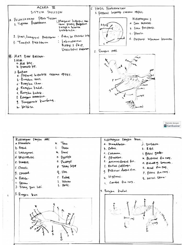 Tania Kiftiannisa_Acara 3 SH. | PDF