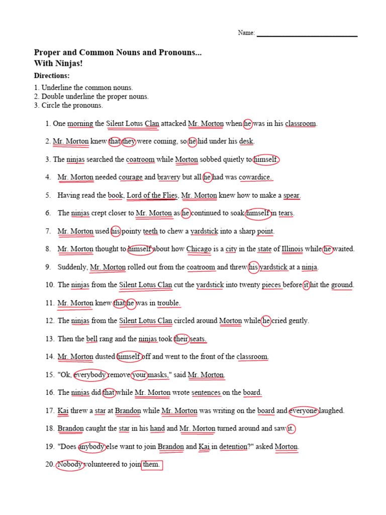 Proper Nouns Common Nouns and Pronouns 2 | PDF