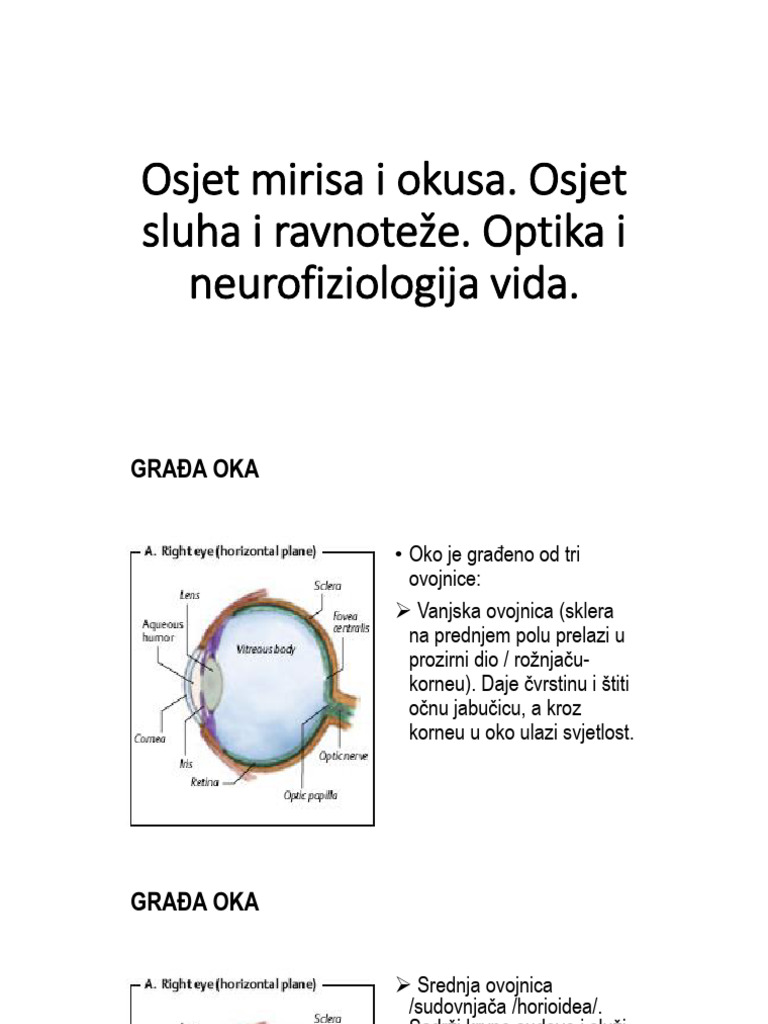 Osjet Mirisa i Okusa. Sluh. Ravnoteža. Oko | PDF
