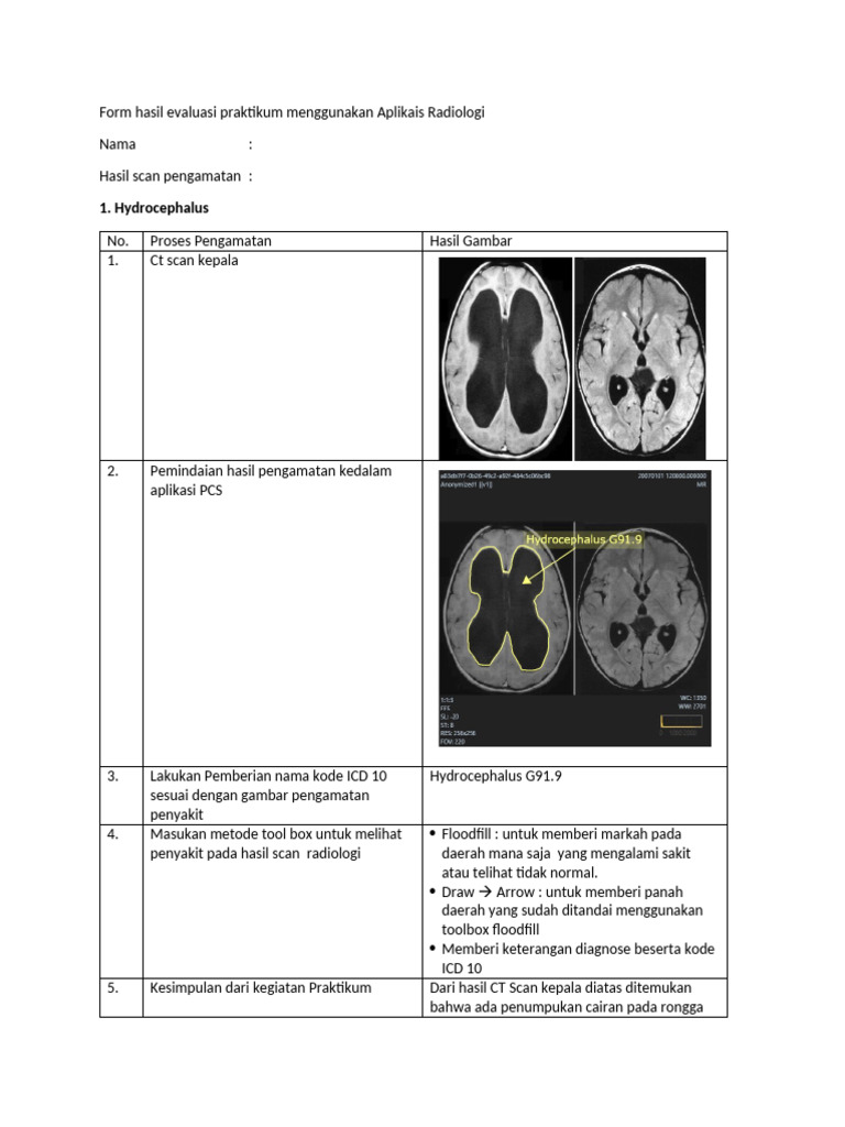 Form Hasil Evaluasi Praktikum Menggunakan Aplikais Radiologi | PDF