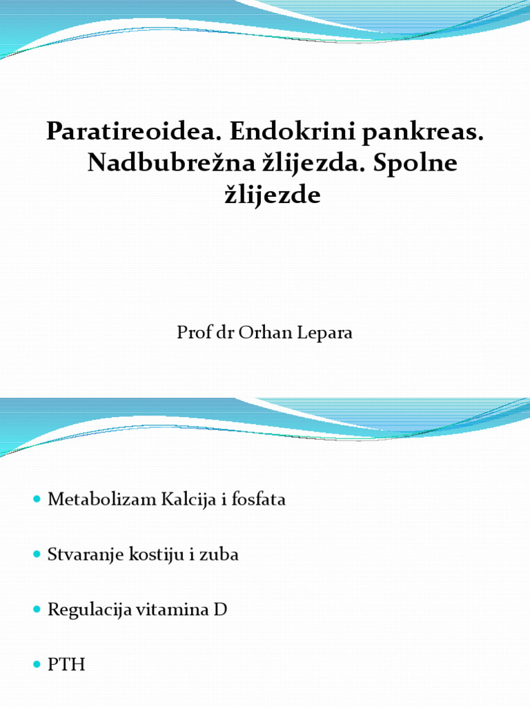 Predavanje 2 09.01.2025. Paratireoidea. Endokrini pankreas. Nadbubrežne žlijezde. Spolne ...