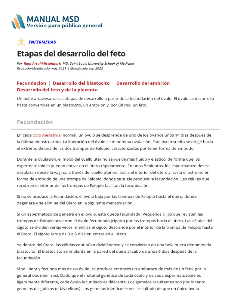 Etapas Del Desarrollo Del Feto - Salud Femenina - Manual MSD Versión ...