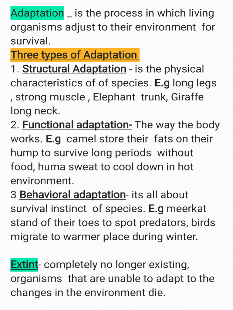 Adaptation NS grade 8_250301_224024 | PDF