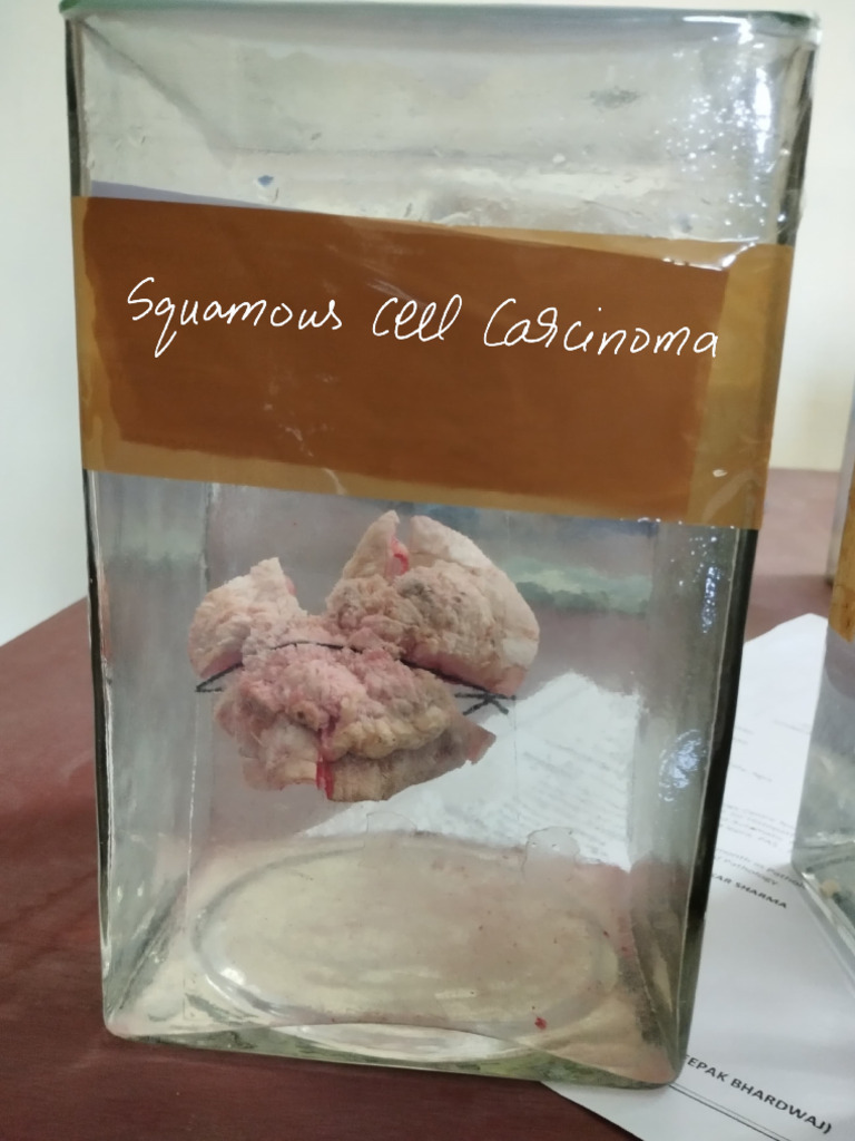 Patho Practical | PDF