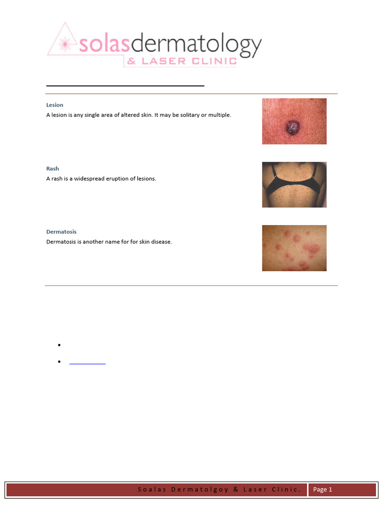 Dermatology Terminology Overview | PDF | Epidermis | Skin