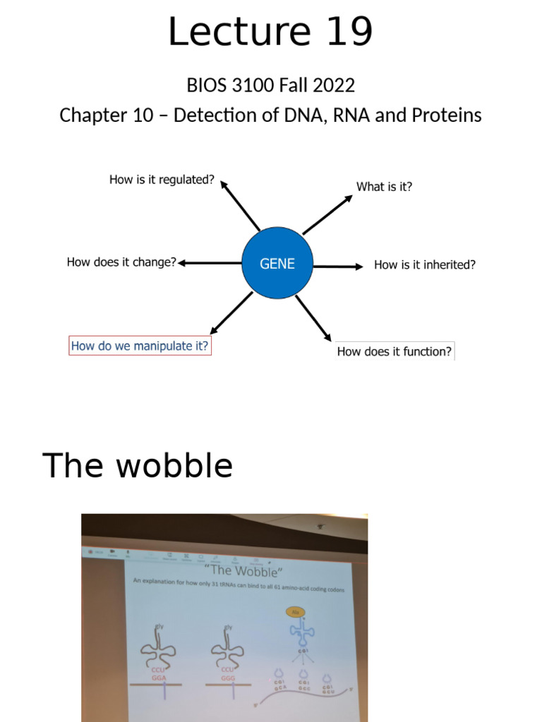 BIOS 3100 Lecture 19 Spring 2025 - Detection of DNA RNA and Proteins For Students | PDF ...