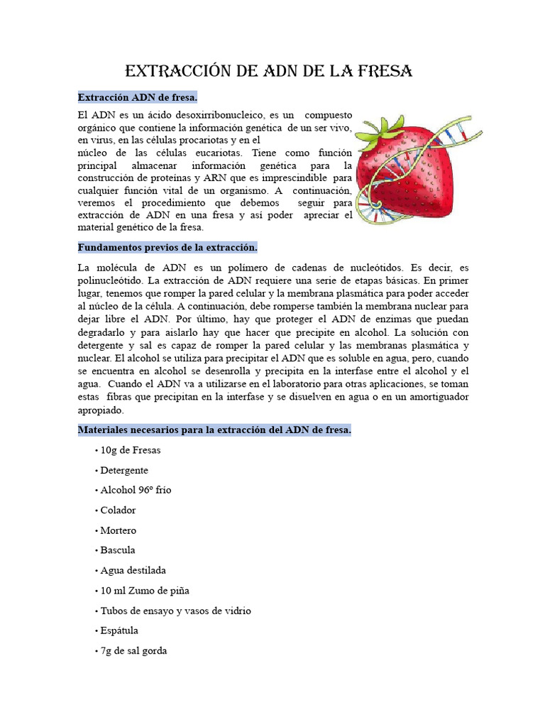 Práctica Extracción de Adn de La Fresa | PDF | Adn | Biología Celular)
