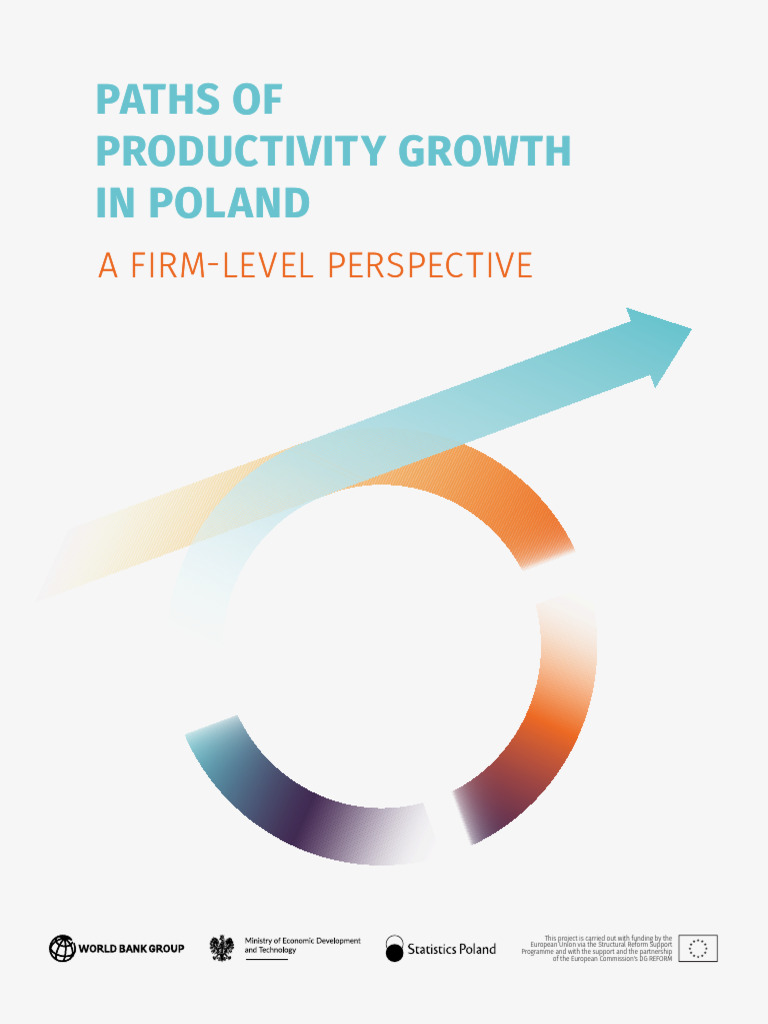 Paths of Productivity Growth in Poland a Firm-level Perspective | PDF | Economic Growth | Gross ...