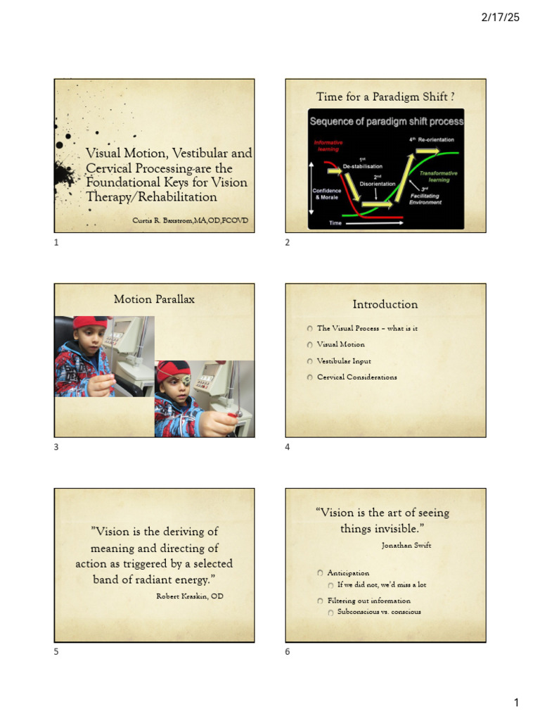 2023 Visual Motion and Vestibular Input Are The Foundational Keys For ...