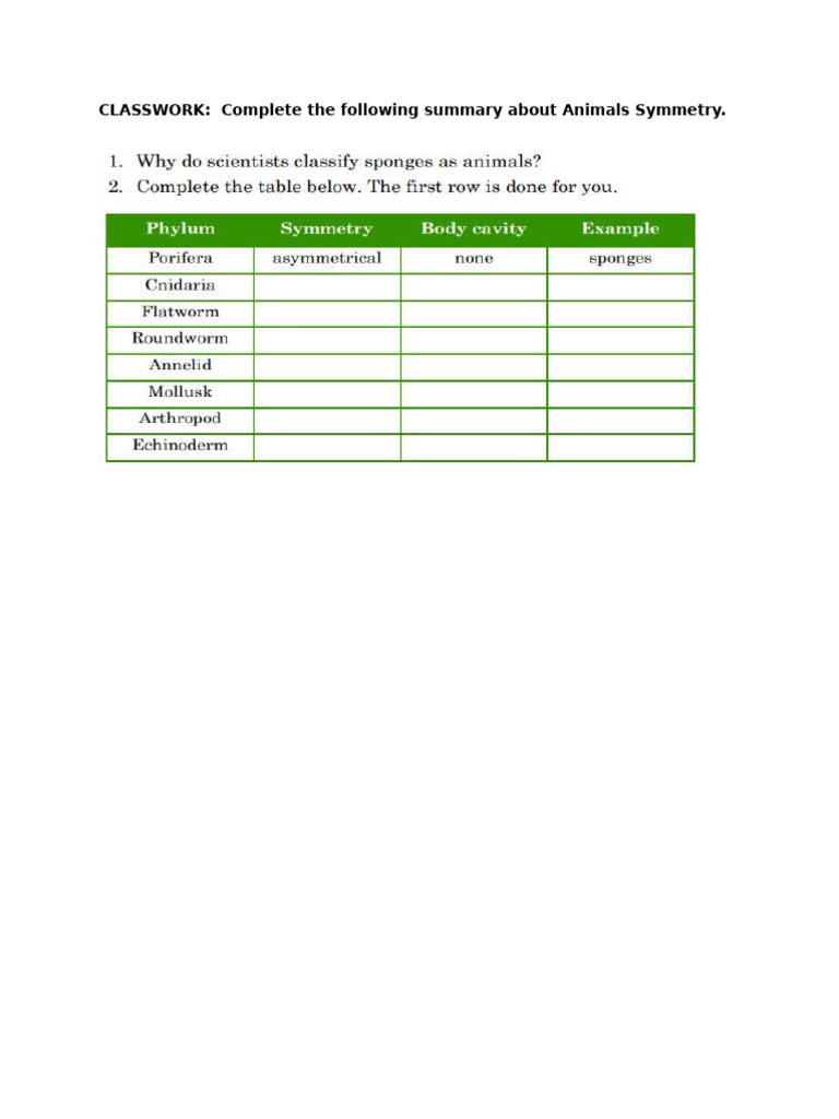 Animals Symmetry Summary | PDF
