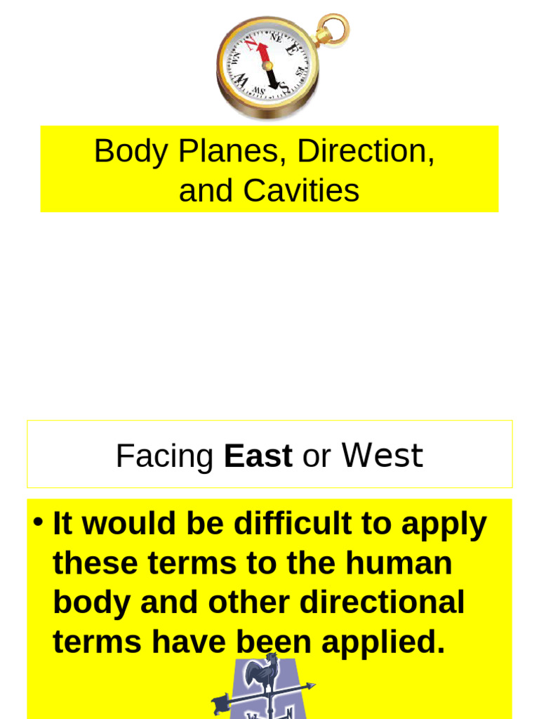 Body Planes-JHodge | PDF