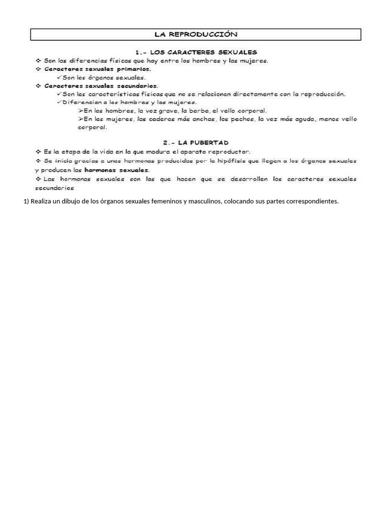 clase 3 taller 3ro.docxro esi organos sexuales | PDF