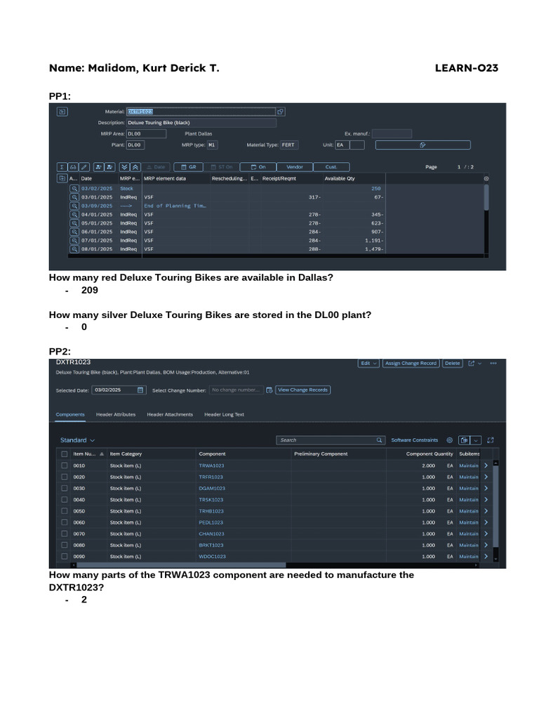 Sap 3 - Exercises | PDF
