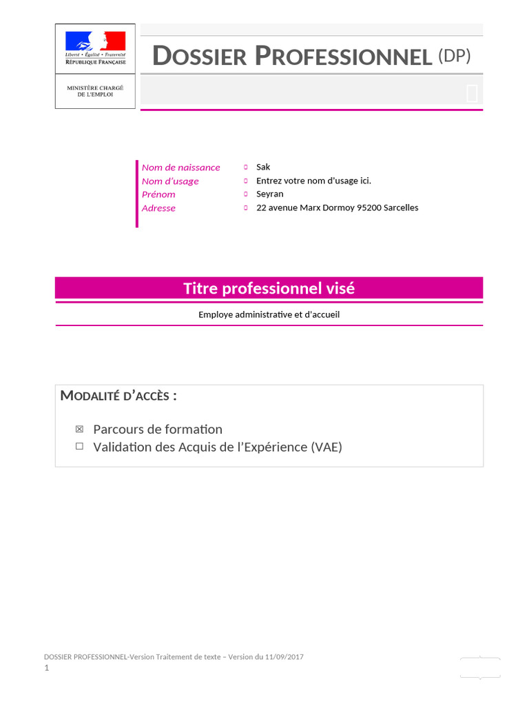 Dossier Professionnel : Modèle Word 2024 | PDF | Mise en page ...