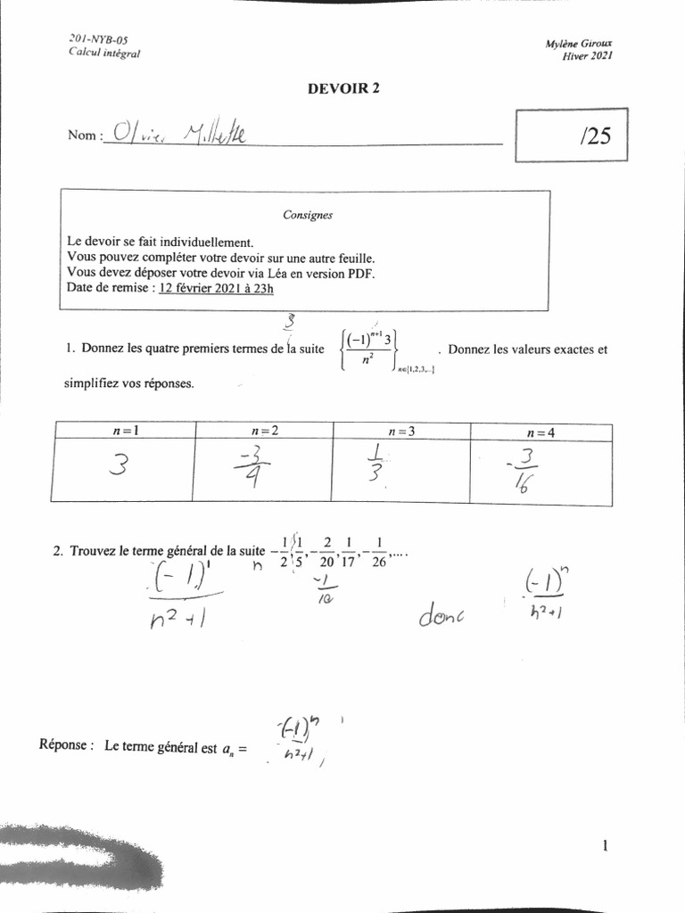 Devoir 2 Intégral | PDF