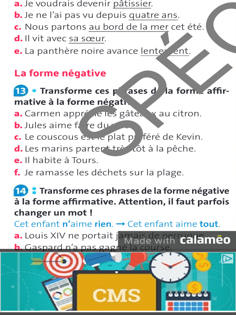 Transformations de phrases CE2 | PDF