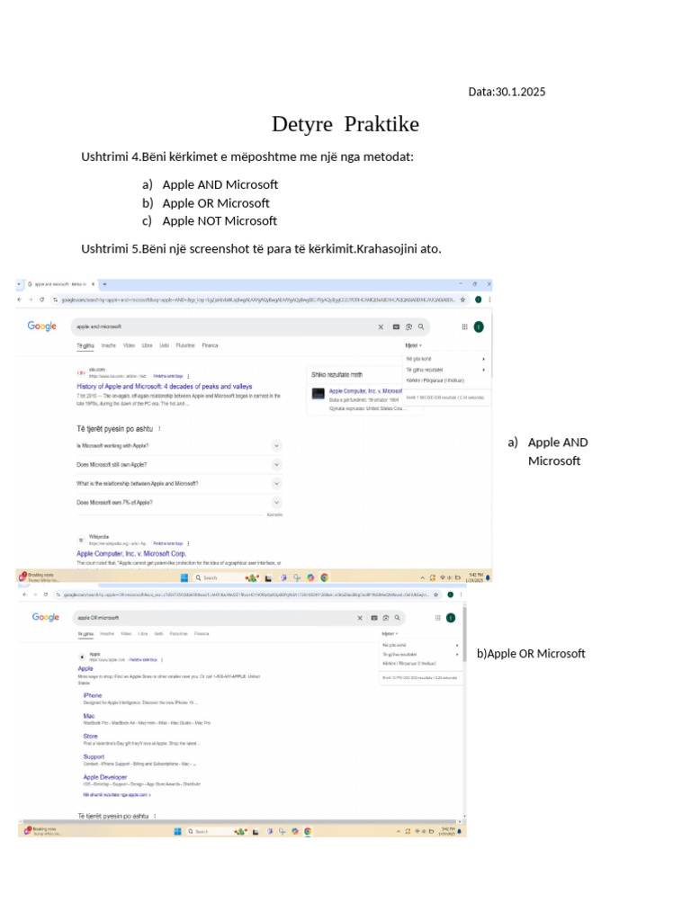 Detyre Praktike | PDF