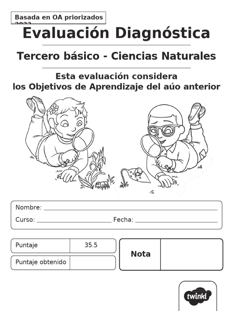 Evaluación Diagnóstica Ciencias Tercero Básico | PDF | Agua | Corazón