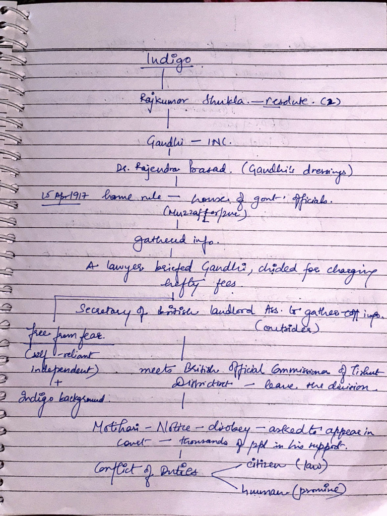 Indigo Mind Map | PDF