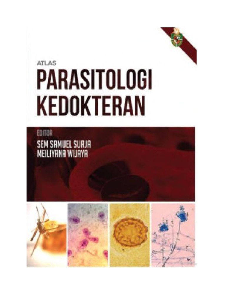 (Book) Surja Et Al, 2019 | PDF