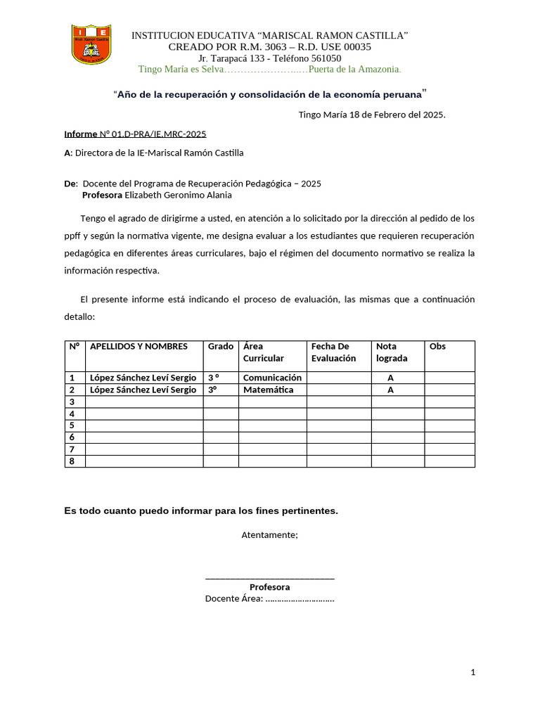 INFORME DE SUBSANACION- modelo- 2025leví | PDF