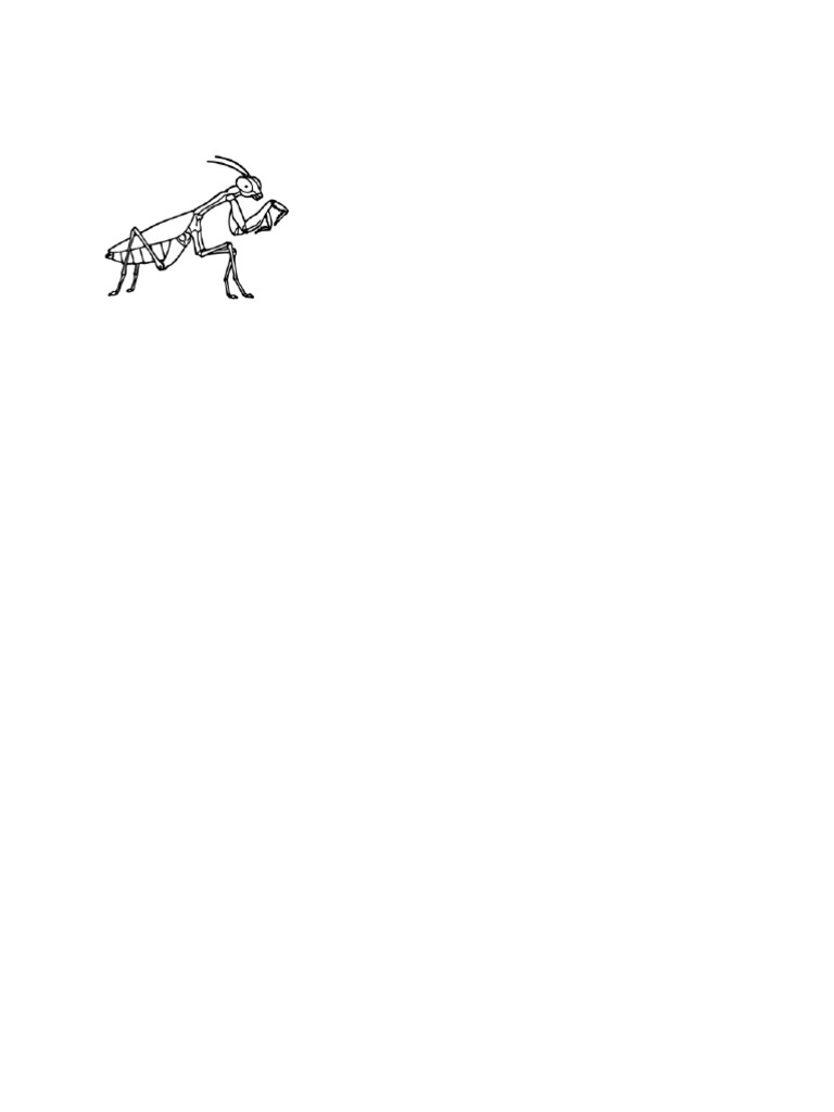 Praying Mantis Facts and Insights | PDF | Insects | Zoology