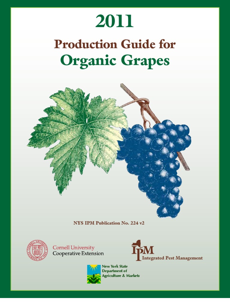 Grapes | PDF | Plant Nutrition | Organic Farming