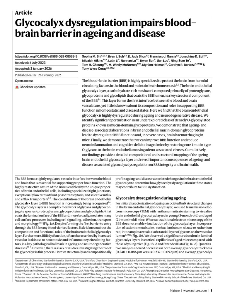 Glycocalyx Dysregulation Impairs Blood–Brain Barrier in Ageing and Disease | PDF | Nutrients ...