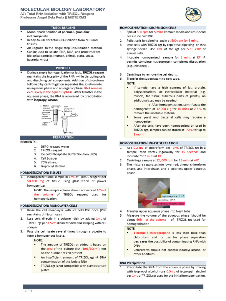 Rna Isolation W Trizol Reagent | PDF | Lysis | Precipitation (Chemistry)