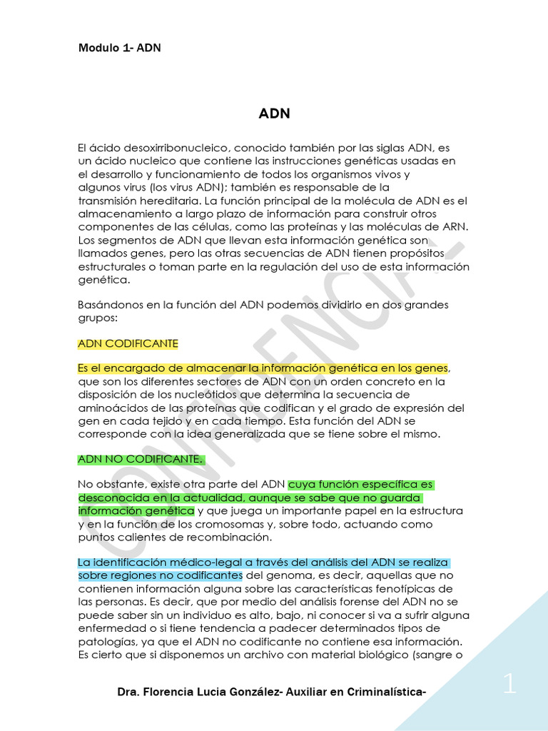 Modulo 1 ADN | PDF | Replicación De Adn | Adn