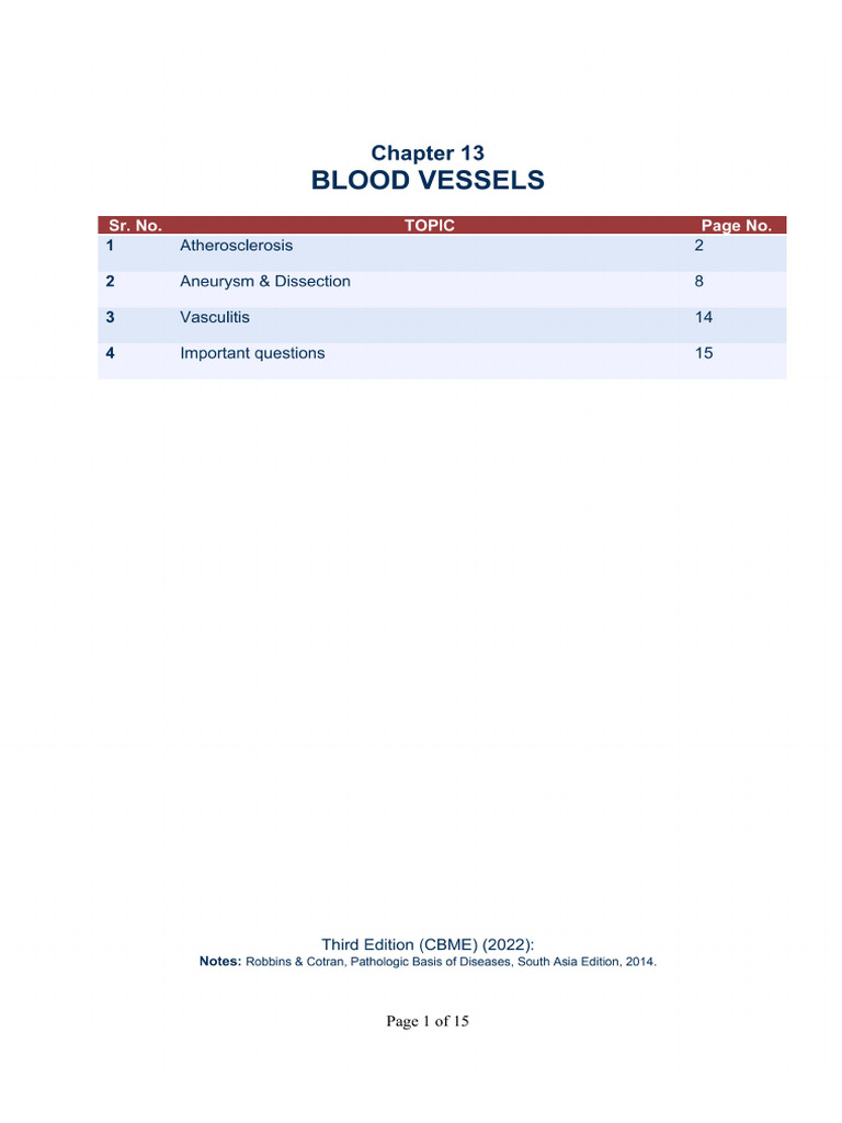 Chapter 13 Blood Vessels | PDF