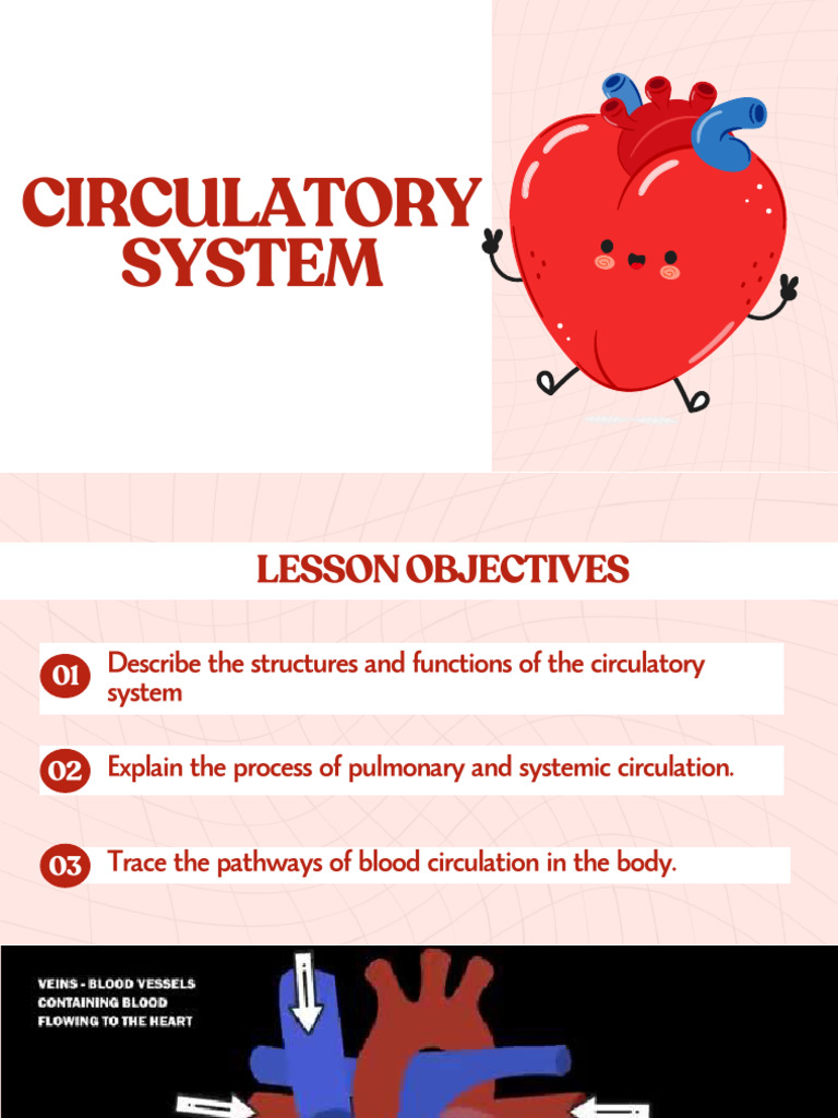 Circulatory System | PDF