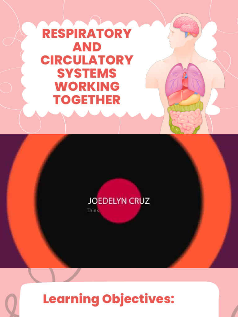 Respiratory and Circulatory Systems Integration | PDF