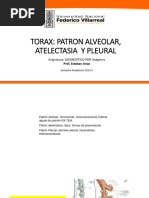Guía de Signos Radiológicos de Tórax | PDF | Pulmón | Neumonía