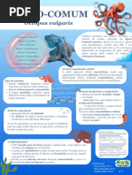 Anatomia e Reprodução do Polvo | PDF | Polvo