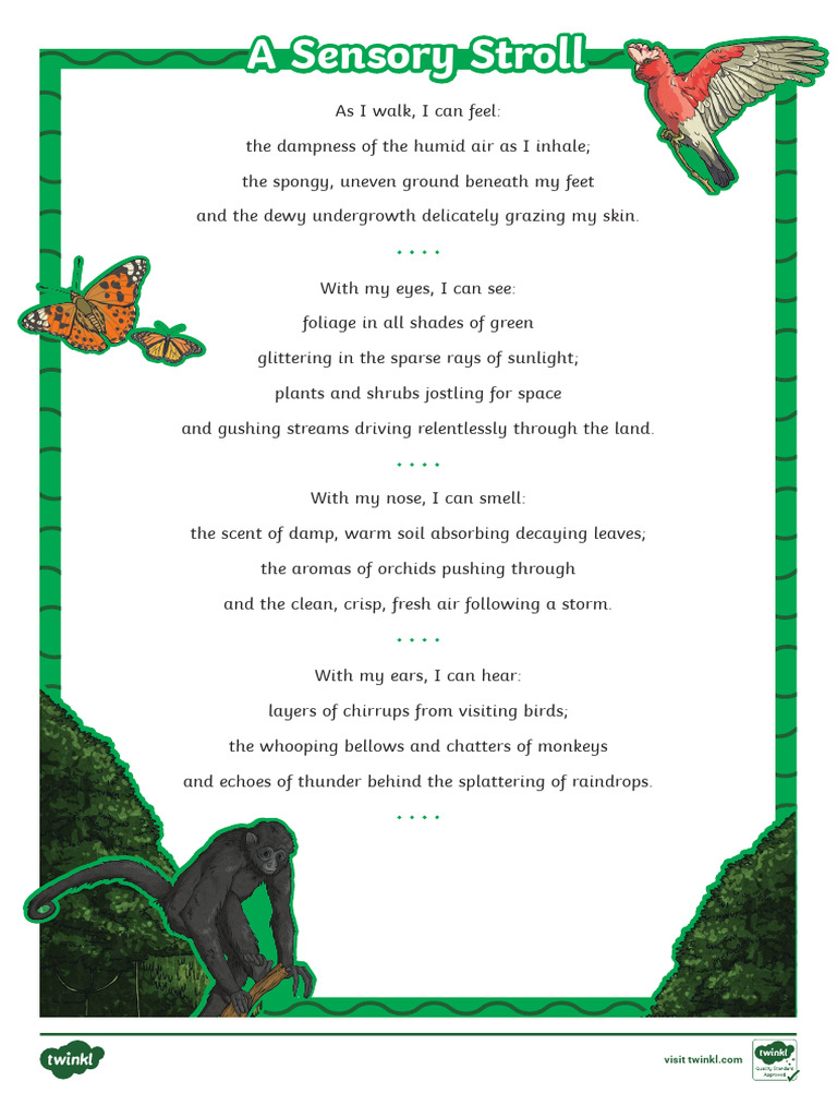 Sensory Experience in the Rainforest | PDF | Odor | Rainforest