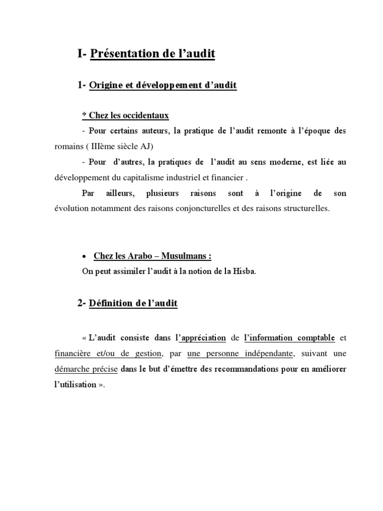 Cours Audit Procéssus Et Fonctions Pdf Audit Interne Audit