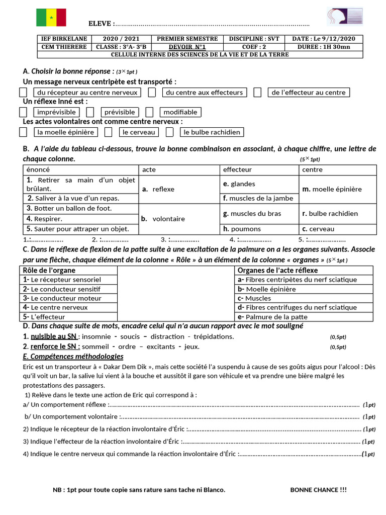 Devoir SVT 3e : Réflexes et Comportements | PDF | Nerf | Système nerveux