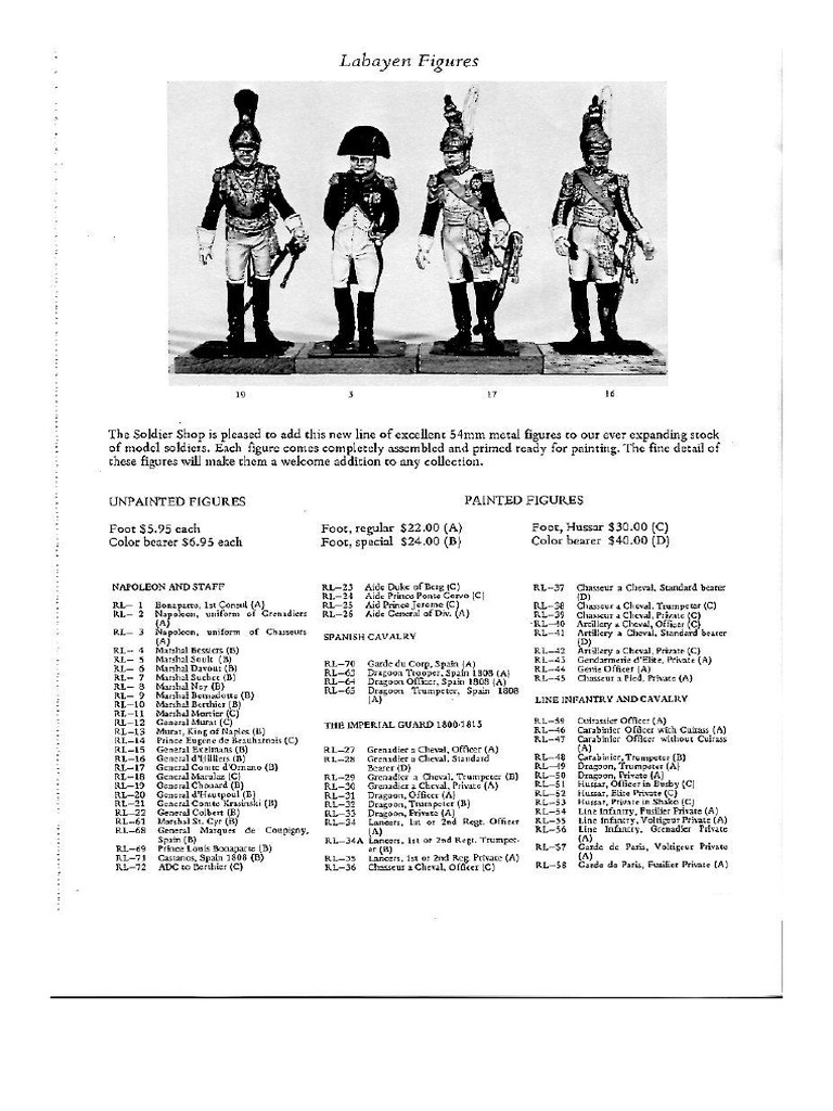 Labayen Short Form | PDF