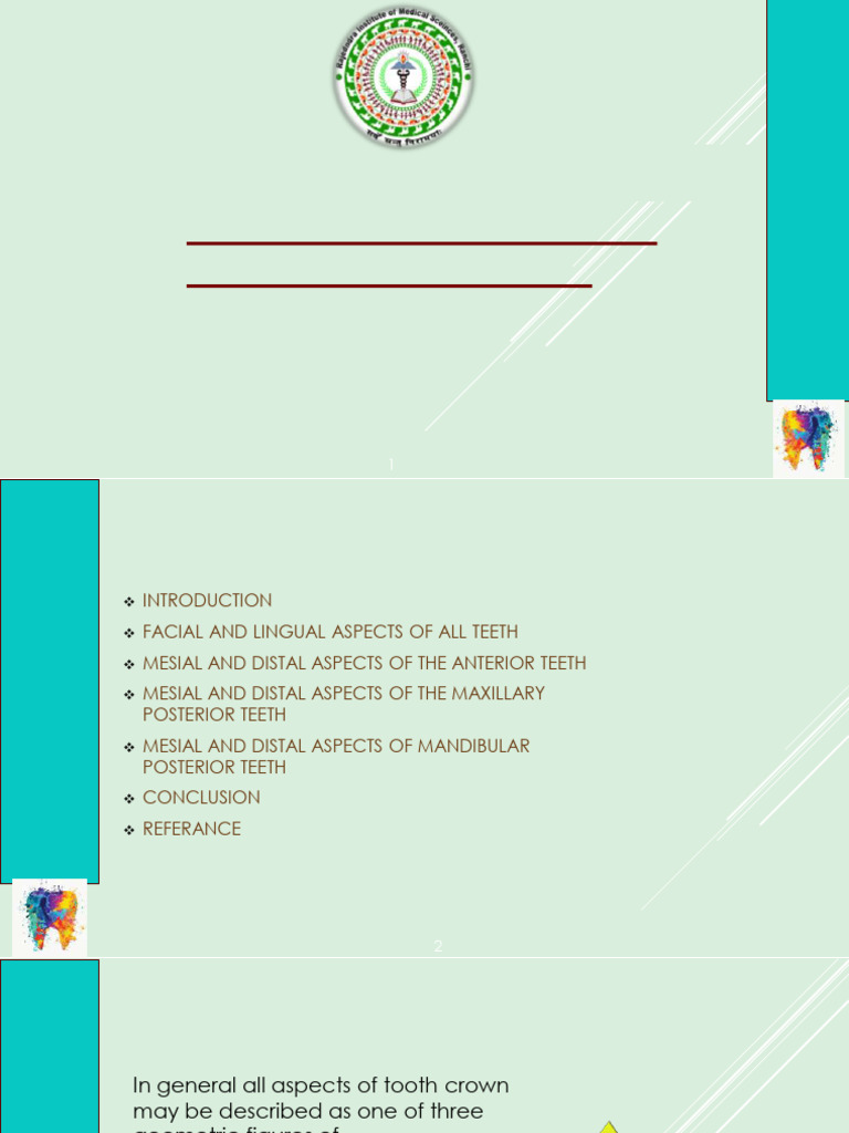 Tooth Morphology | PDF | Tooth | Primate Anatomy