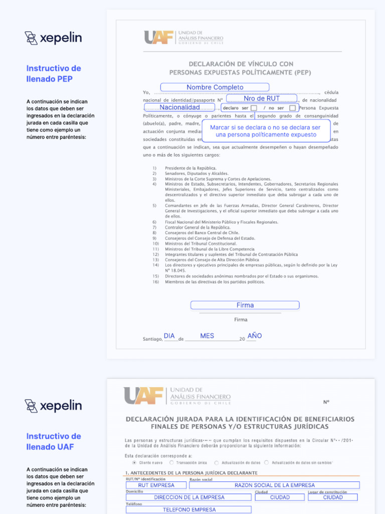 Instructivo llenado PEP y UAF | PDF